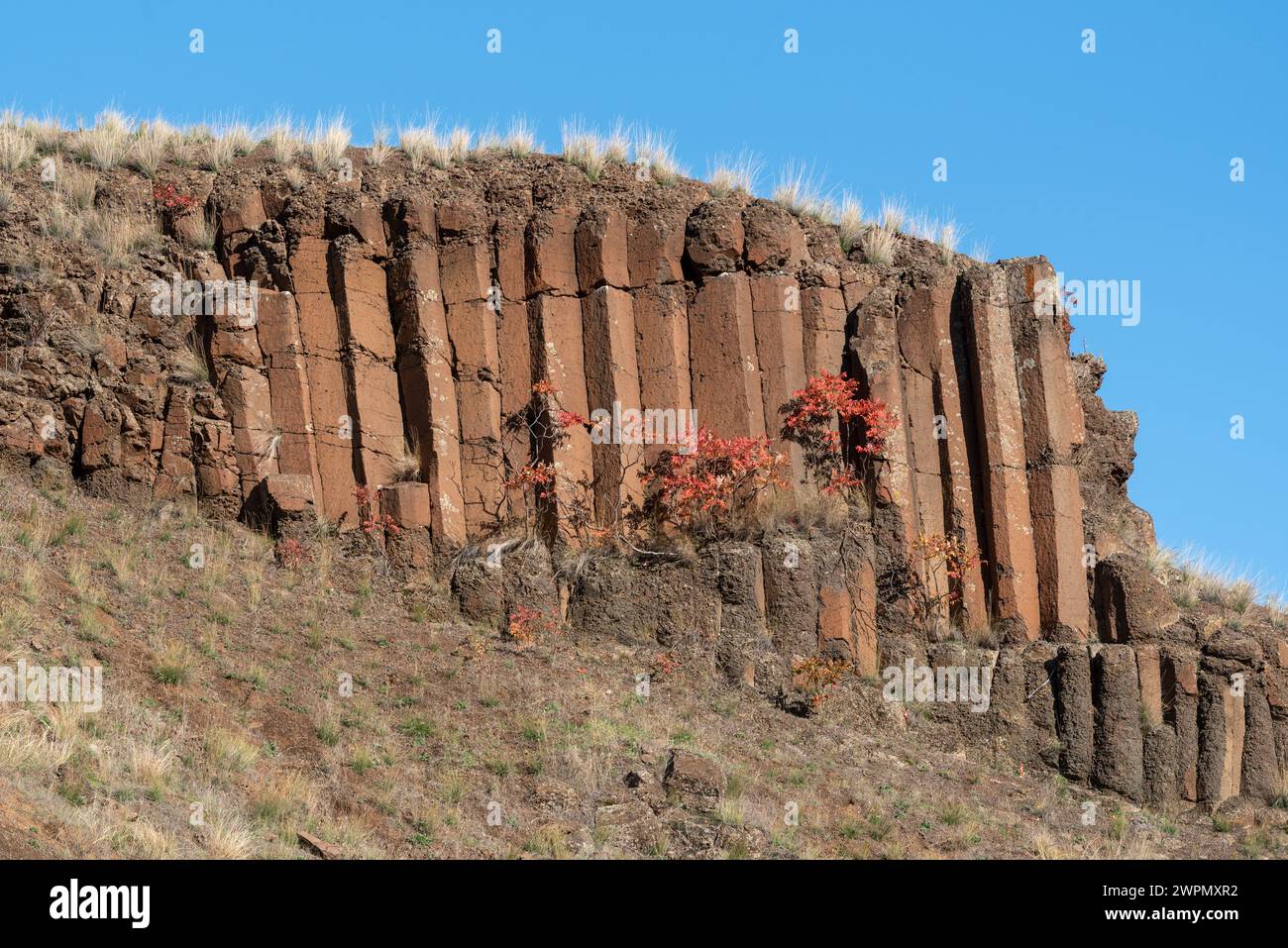 Columnar basalt and sumac, Hells Canyon National Recreation Area ...