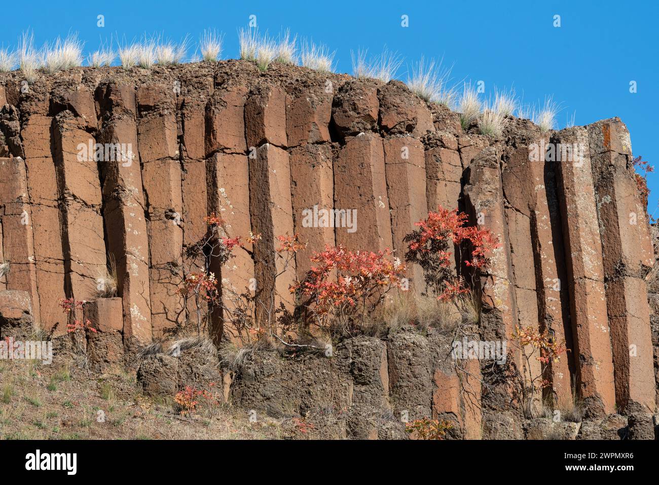 Columnar basalt and sumac, Hells Canyon National Recreation Area ...