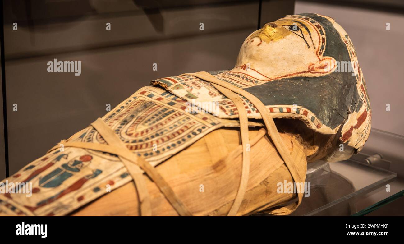 Egyptian mummy of a baby hi-res stock photography and images - Alamy