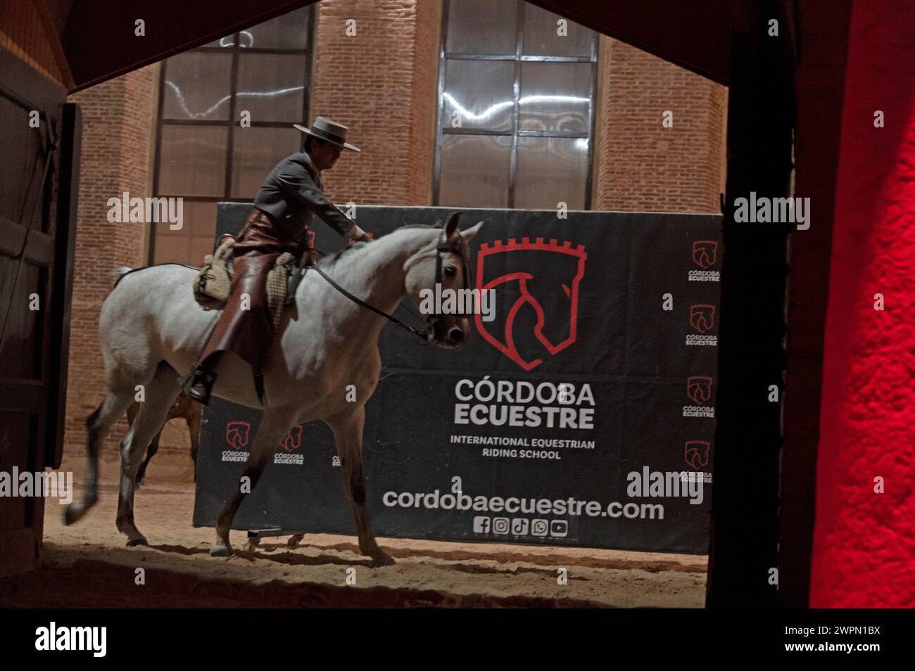 Las Caballerizas Reales de Cordoba (The Royal Stables of Cordoba) in ...