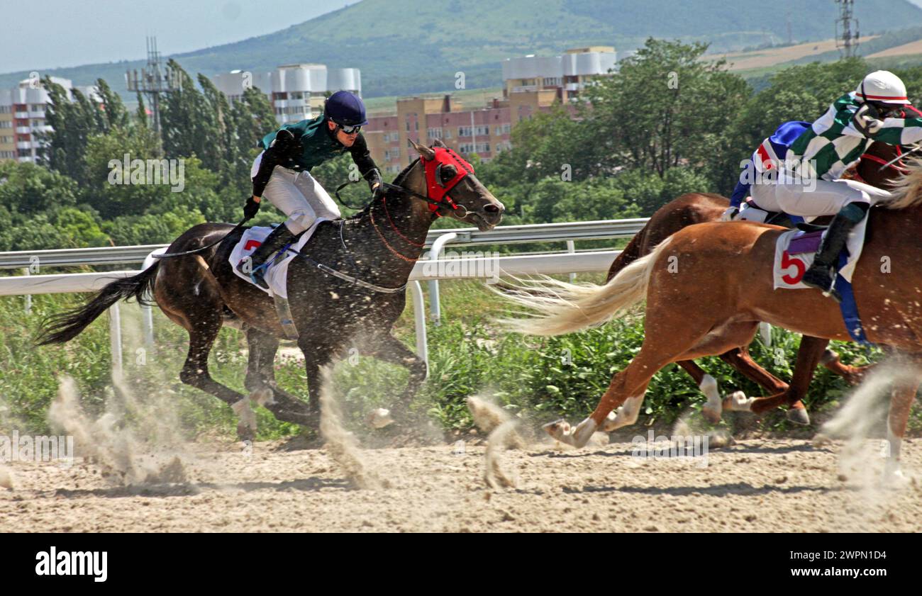 The horse race for the Summer prize at the Pyatigorsk hippodrome Stock ...