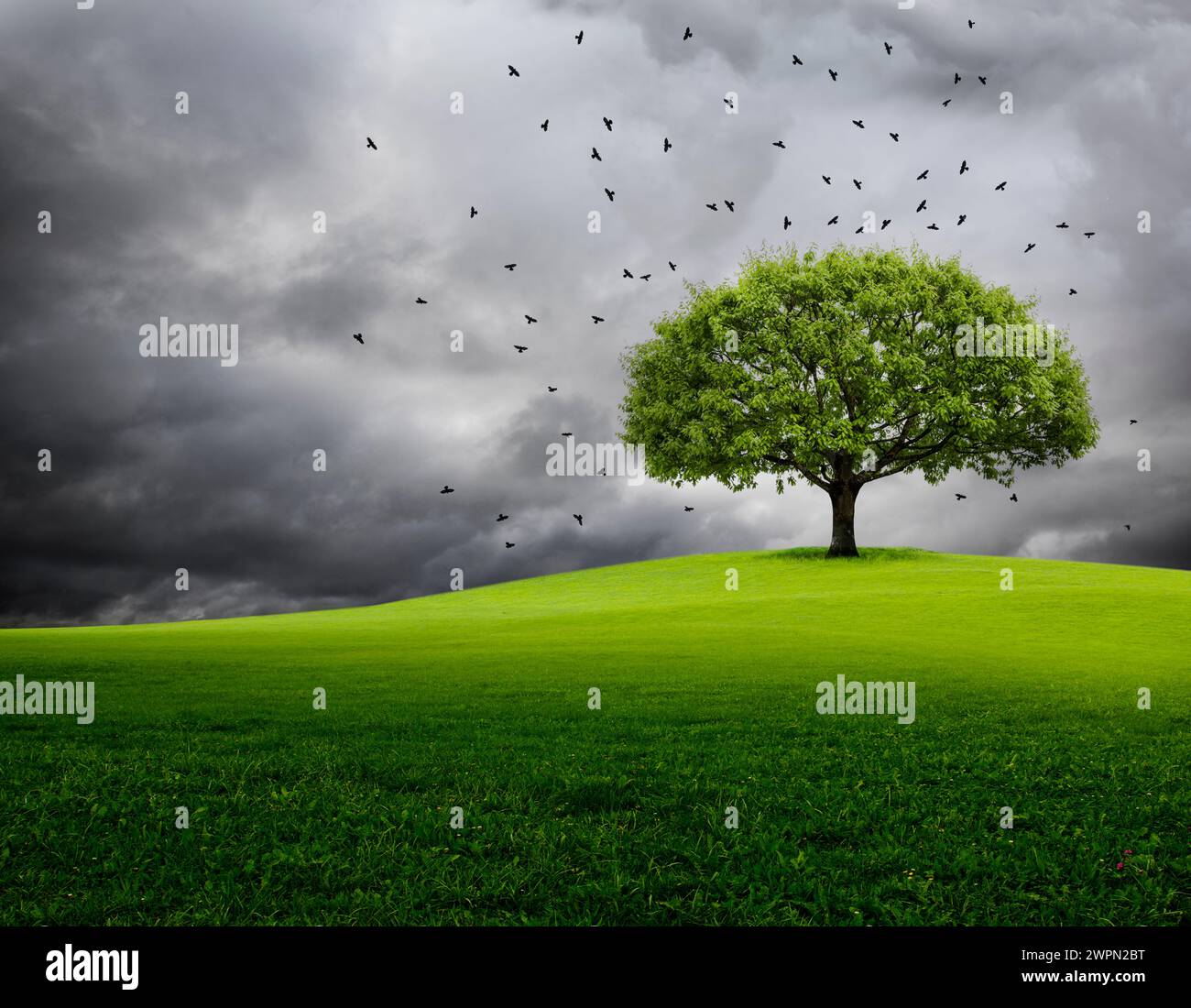 Drama in sky hi-res stock photography and images - Alamy
