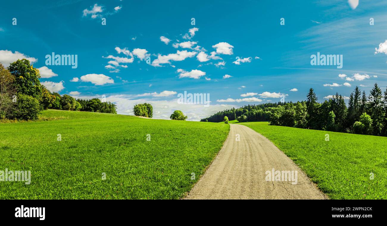 Country road in green landscape to the horizon hi-res stock photography ...