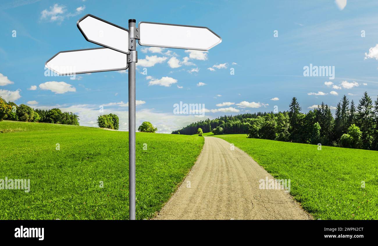Country road through a green landscape with meadows and forests, signs ...