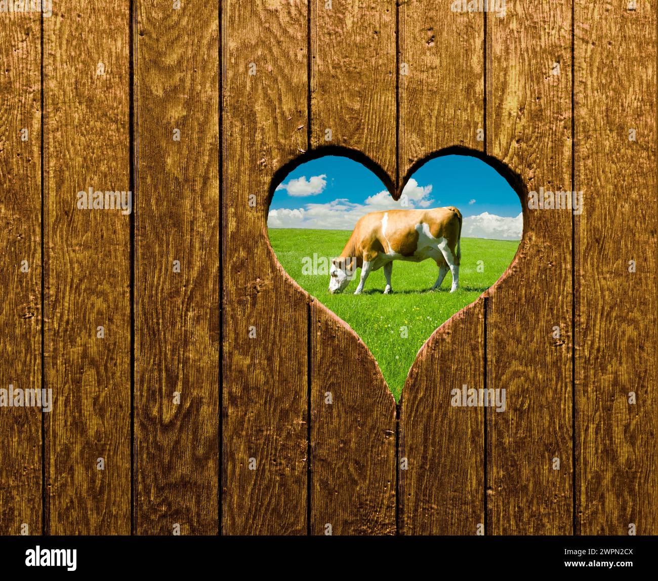 Love cow symbol heart cows hi-res stock photography and images - Alamy