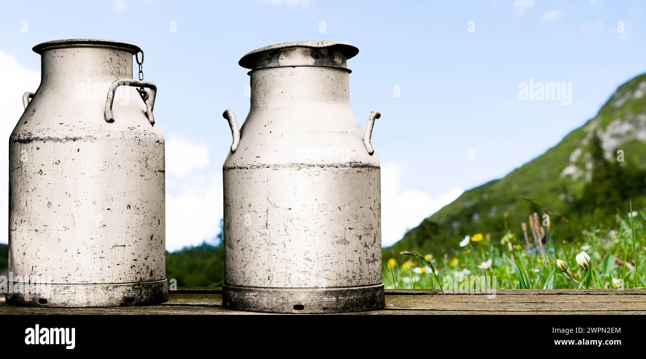 Milk cans on a meadow in the mountains Stock Photo - Alamy