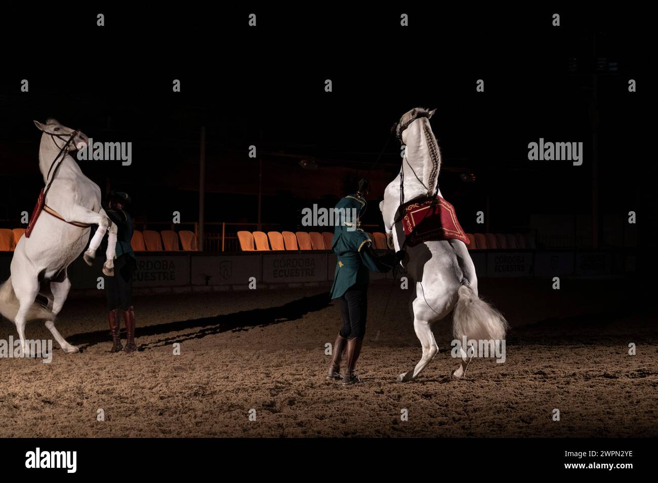 Las Caballerizas Reales de Cordoba (The Royal Stables of Cordoba) Two ...