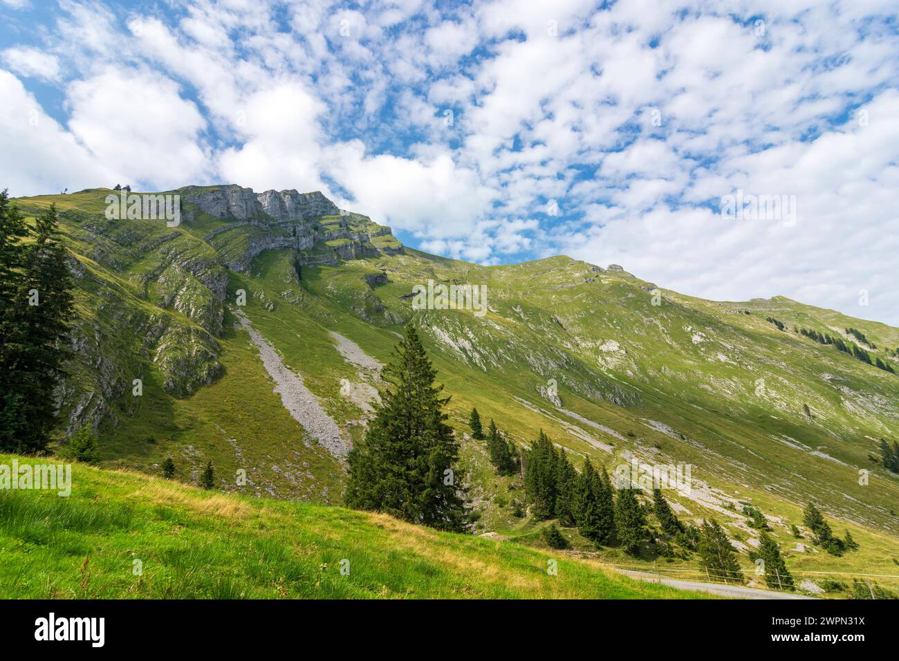 mountain Kanisfluh in Bregenzerwaldgebirge Bregenz Forest Mountains Au ...