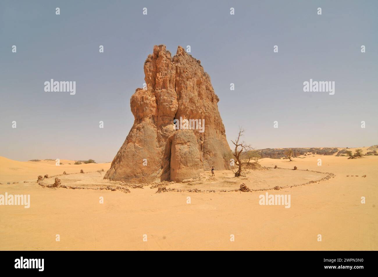 Rock carving depicting the so-called crying cow in the Algerian desert ...