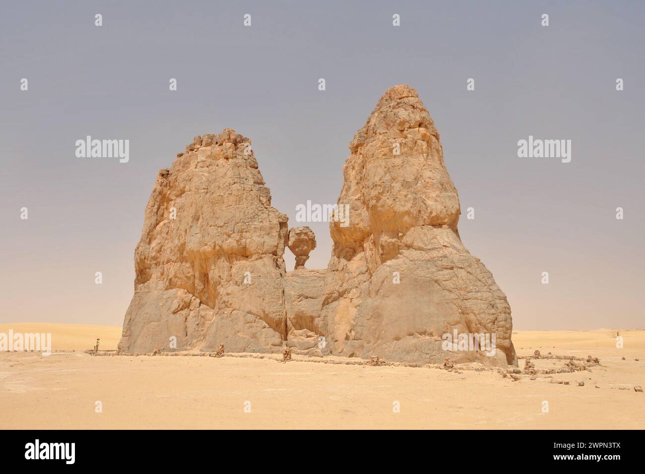 Rock carving depicting the so-called crying cow in the Algerian desert ...