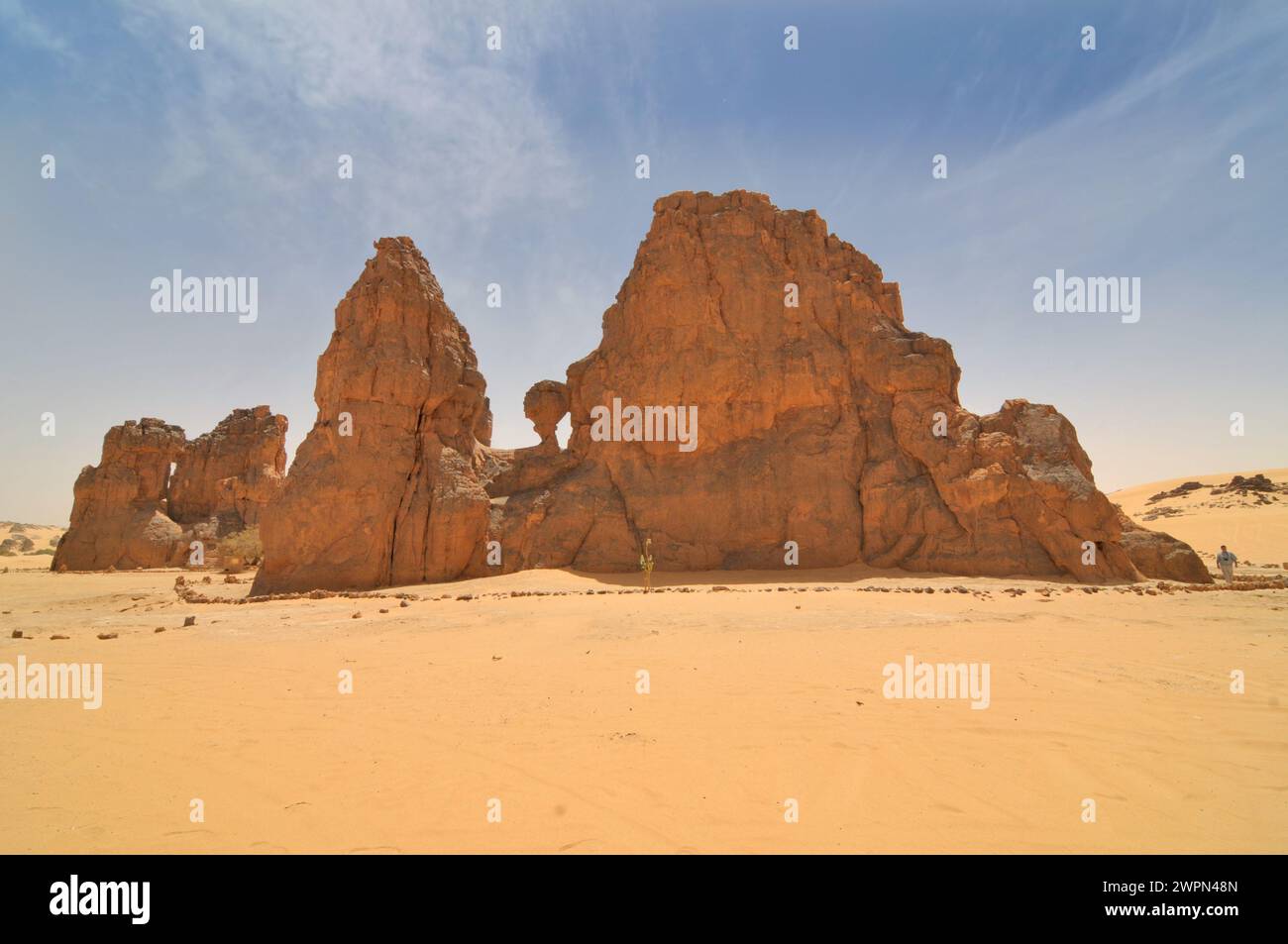 Rock carving depicting the so-called crying cow in the Algerian desert ...