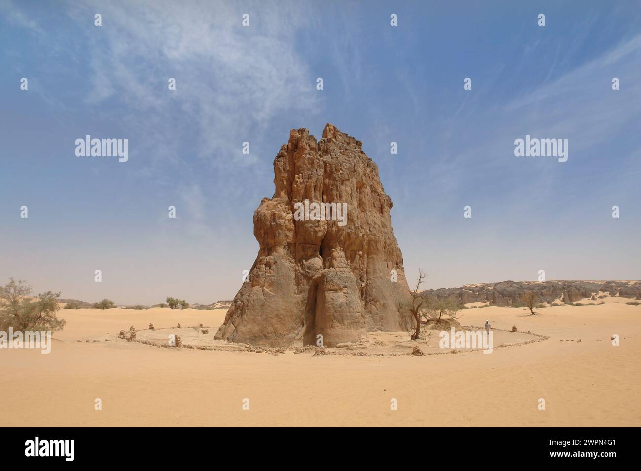 Rock carving depicting the so-called crying cow in the Algerian desert ...