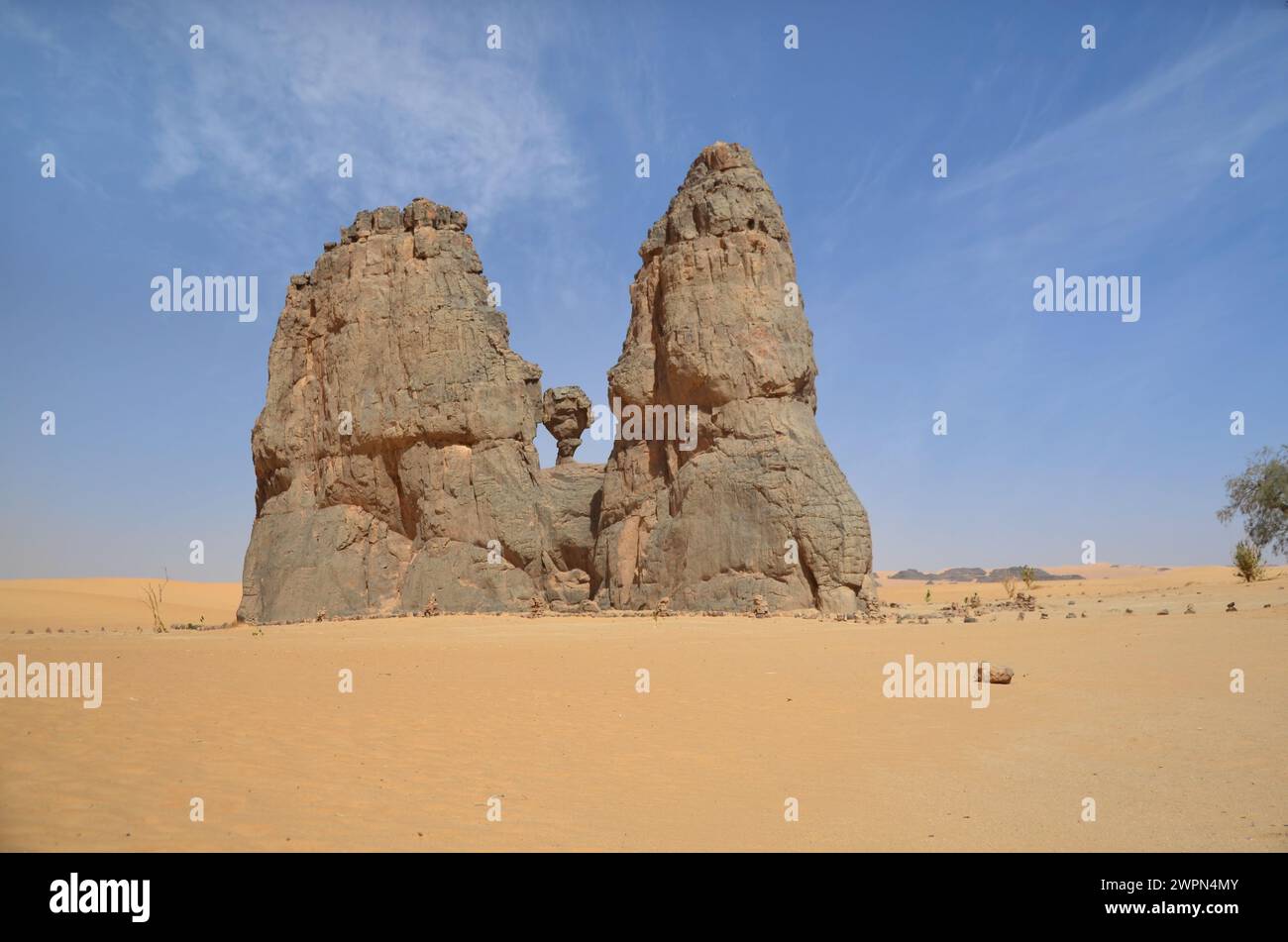 Rock carving crying cow algeria hi-res stock photography and images - Alamy
