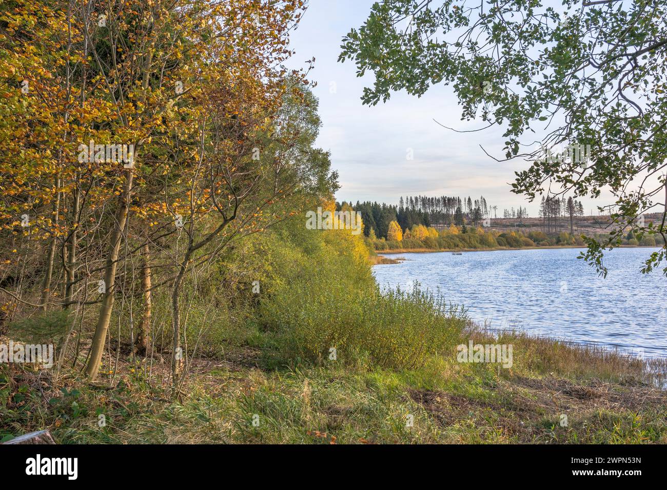 Germany, Lower Saxony, Clausthal-Zellerfeld, Hirschler pond in fall ...
