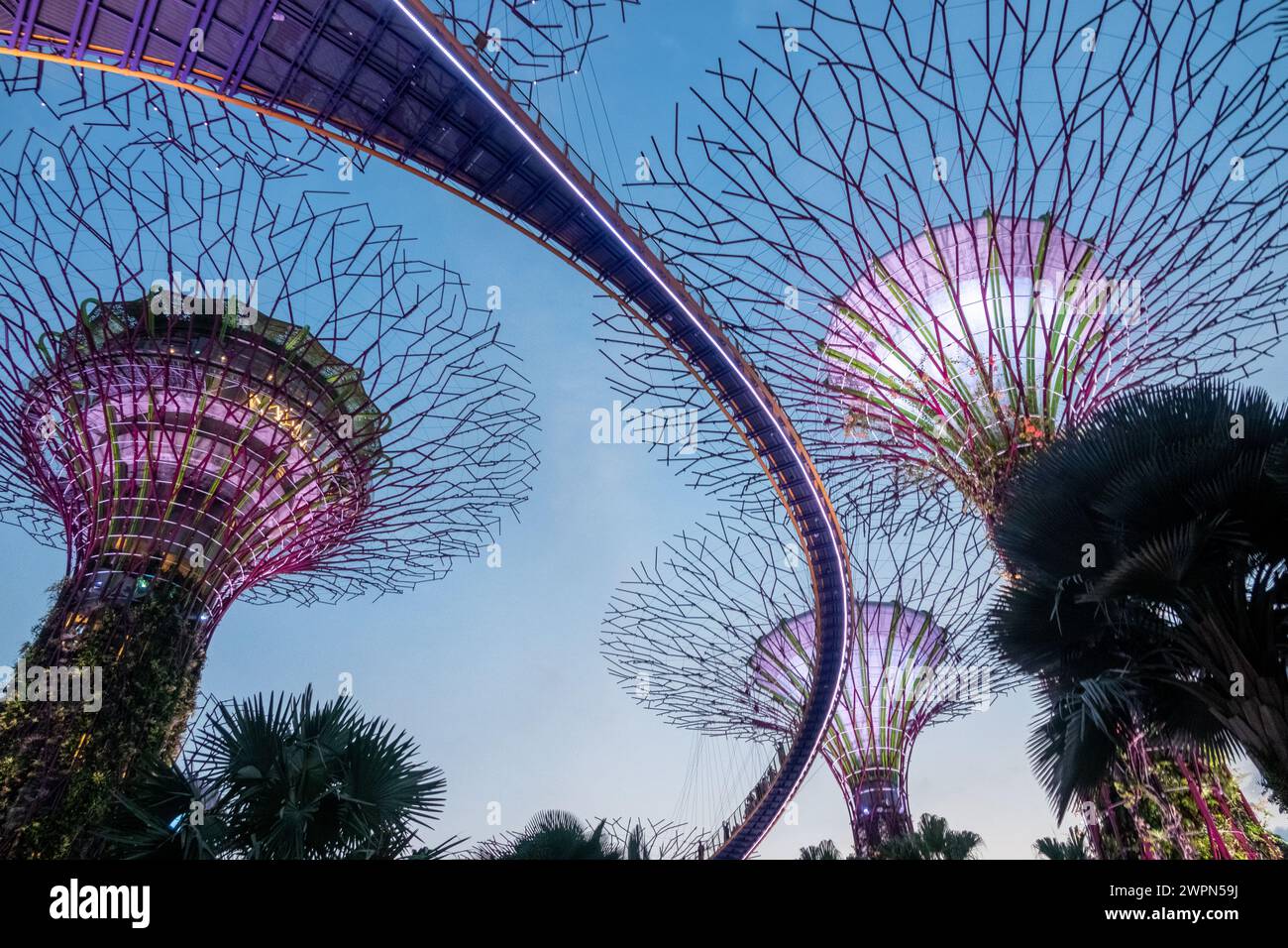 Supertree garden at night, Garden by the Bay, Singapore Stock Photo - Alamy