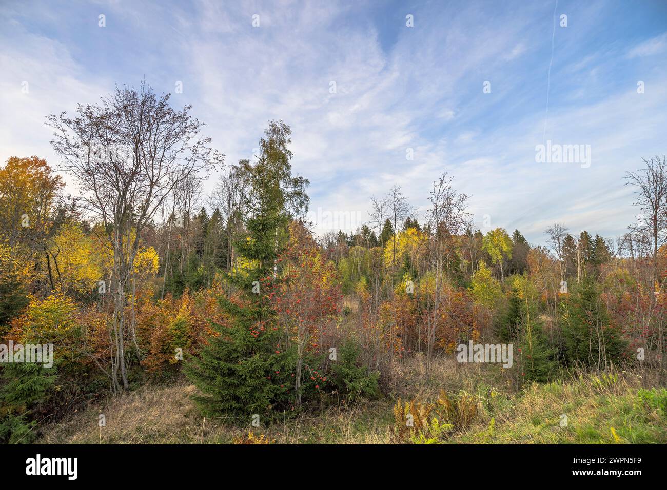Clausthal zellerfeld germany hi-res stock photography and images - Alamy