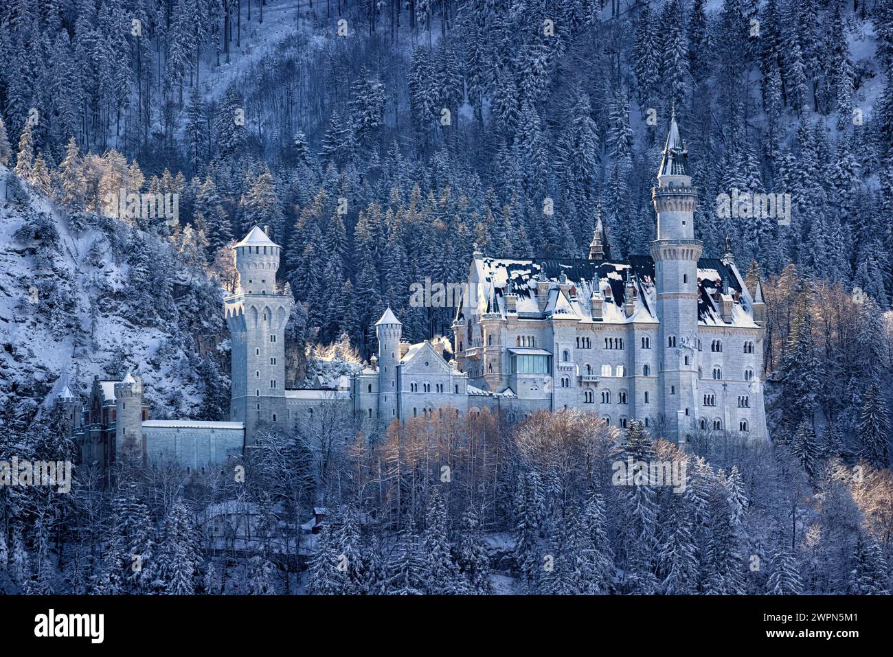 Neuschwanstein Castle in winter. Schwangau, Bavaria, Germany Stock ...