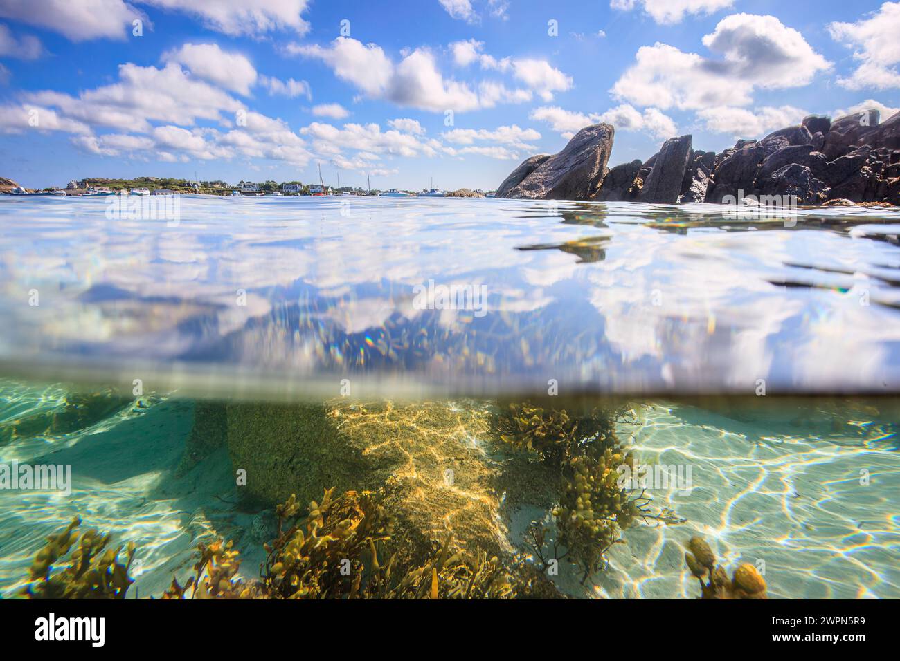 Tang as split photo, Finistere; Brittany Stock Photo - Alamy