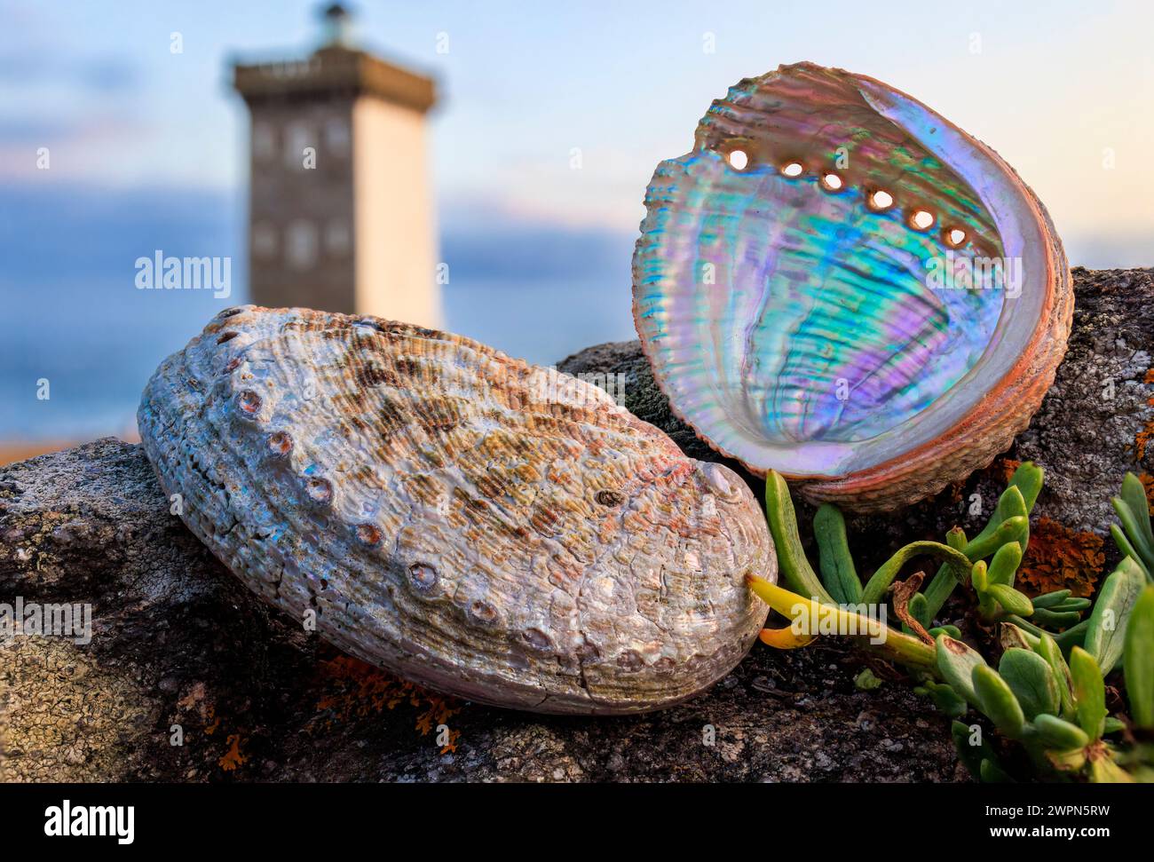 Ormeaux, Stacking at Kermorvan lighthouse Stock Photo - Alamy