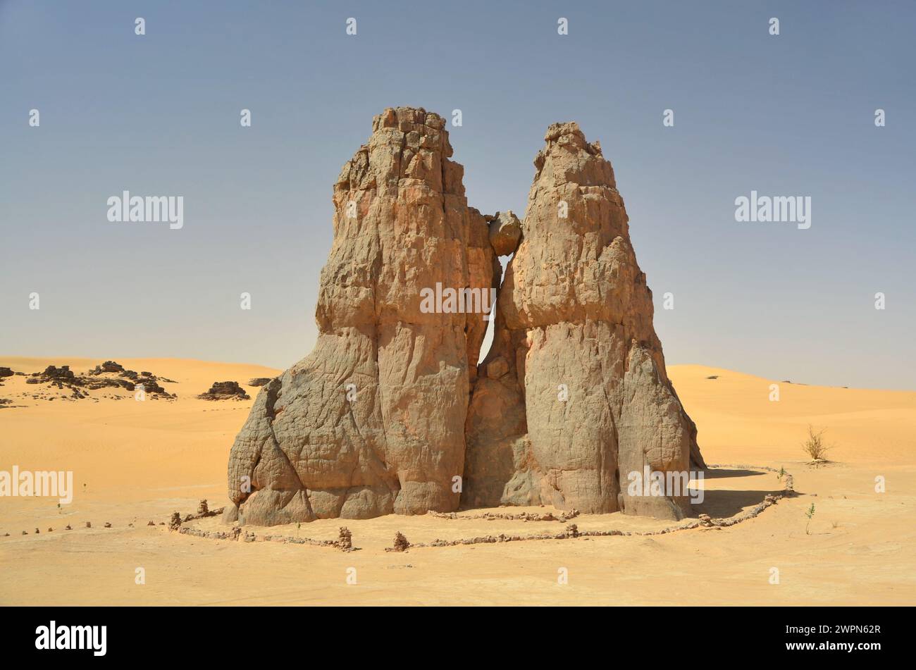 Rock carving depicting the so-called crying cow in the Algerian desert ...