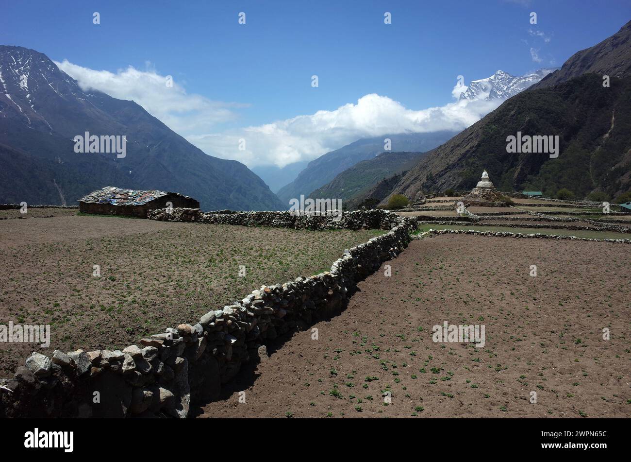 Everest trek, Potato fields and buddhist stupa in Phortse village (3810 ...