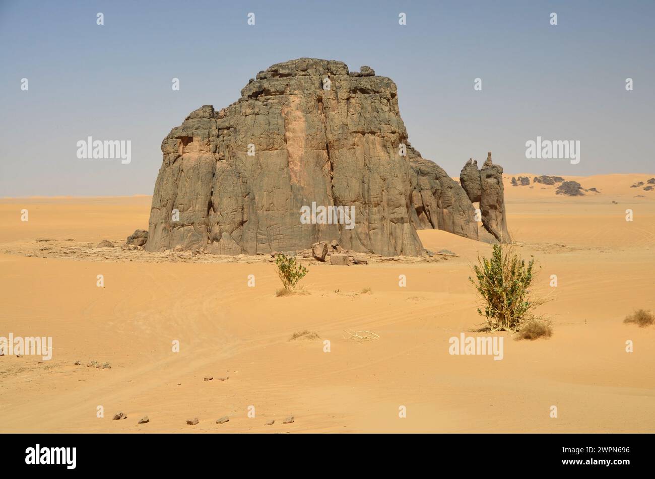 Rock carving depicting the so-called crying cow in the Algerian desert ...