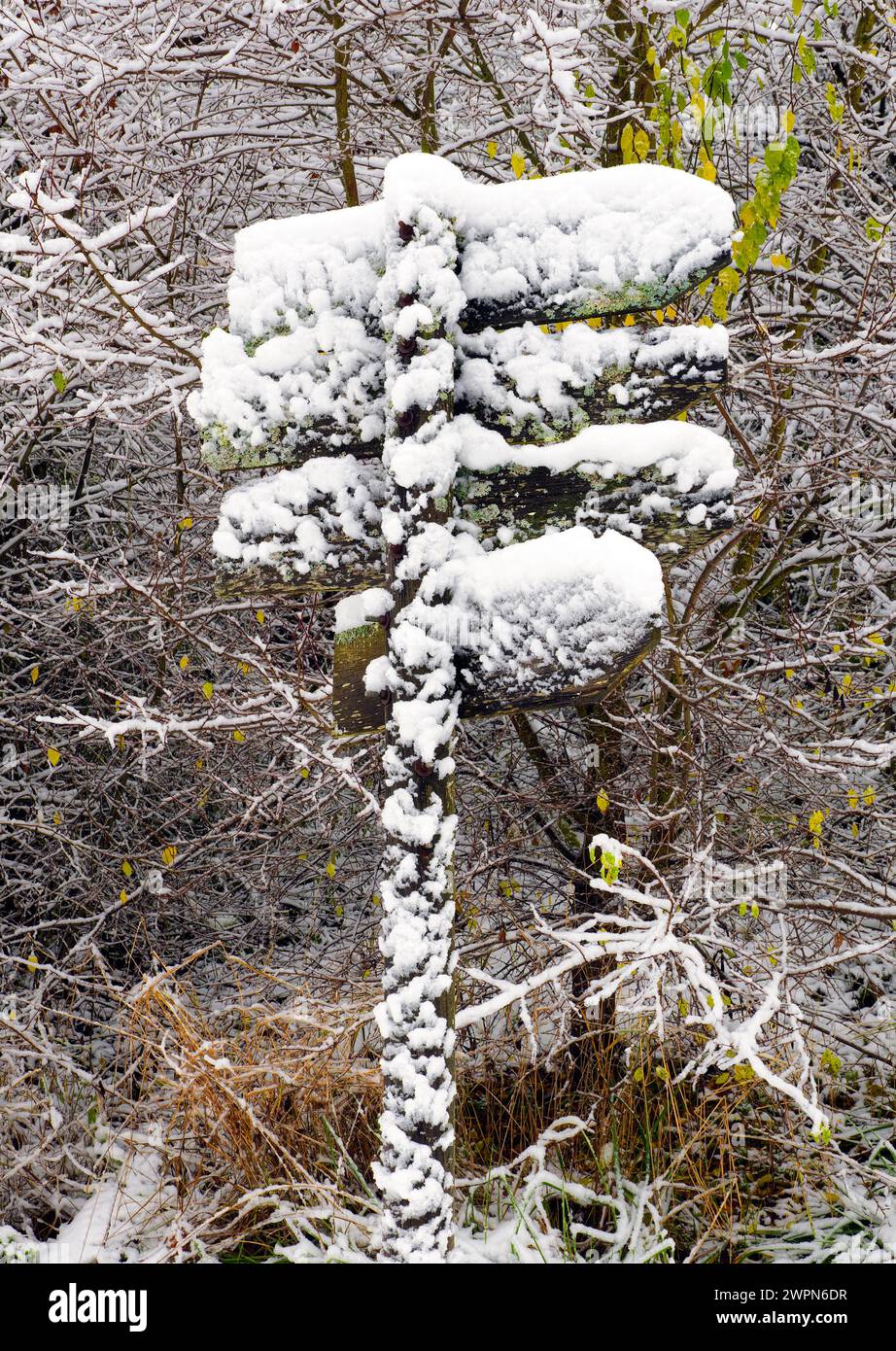 Europe, Germany, Hesse, Central Hesse, Lahn-Dill-Bergland Nature Park ...