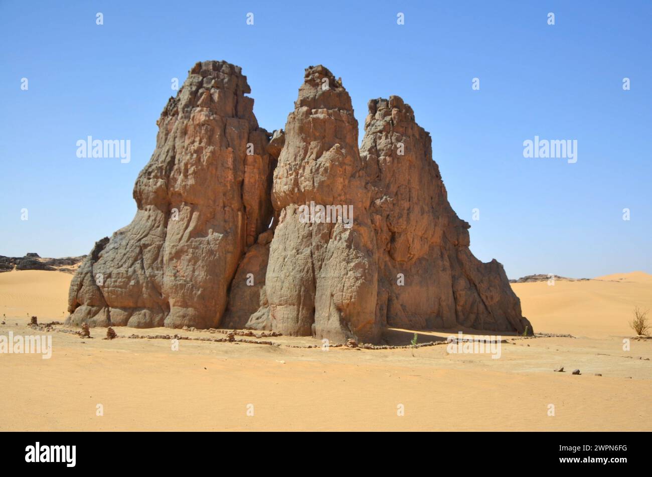 Rock carving depicting the so-called crying cow in the Algerian desert ...