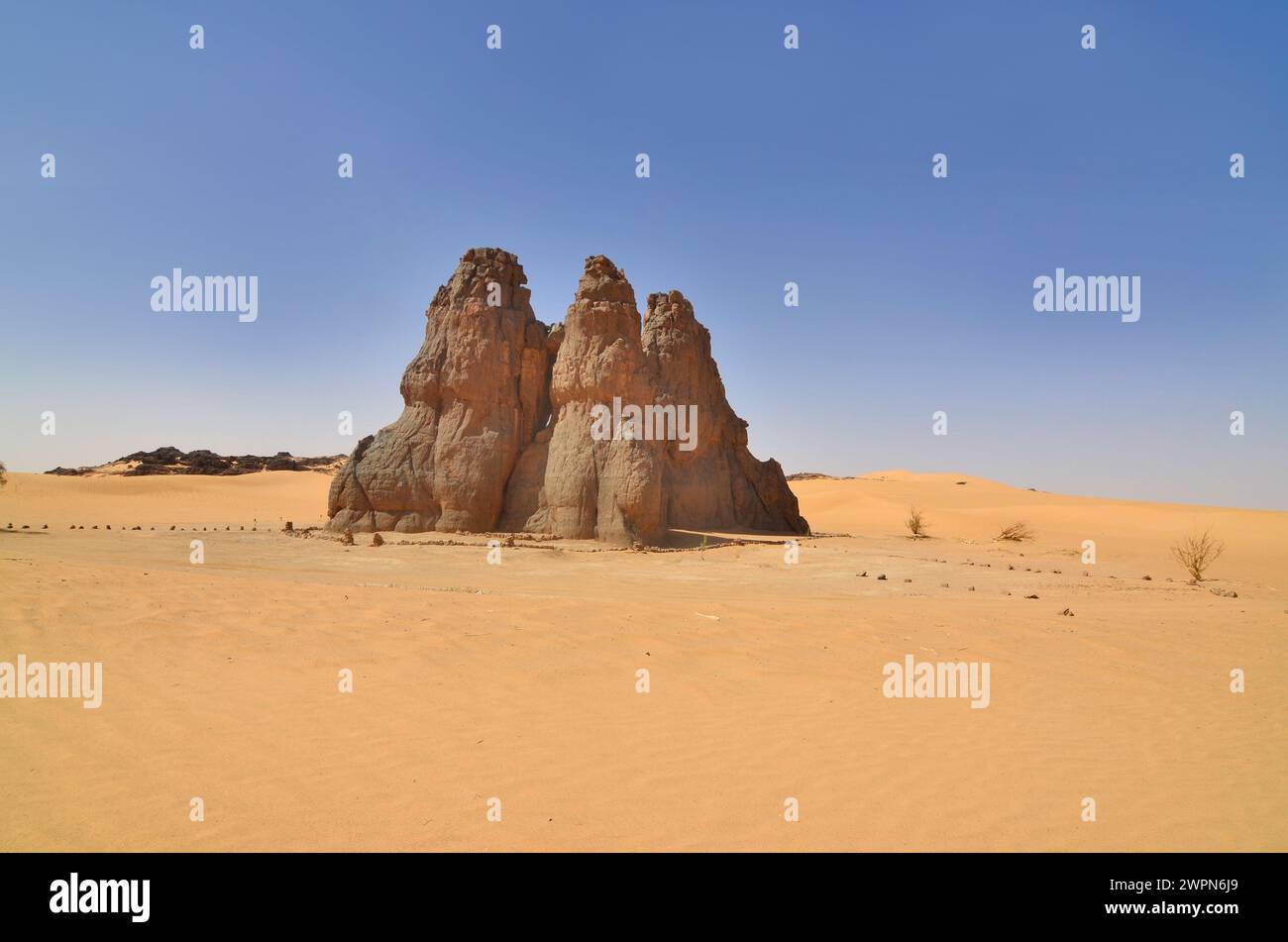 Rock carving depicting the so-called crying cow in the Algerian desert ...