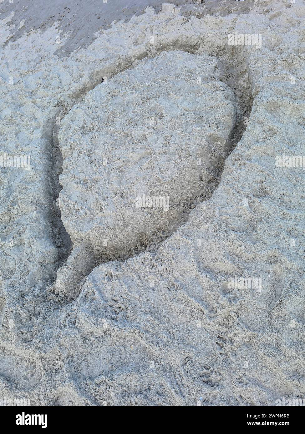 Symbolic shape like a pear built in the sand on the bright sandy beach ...