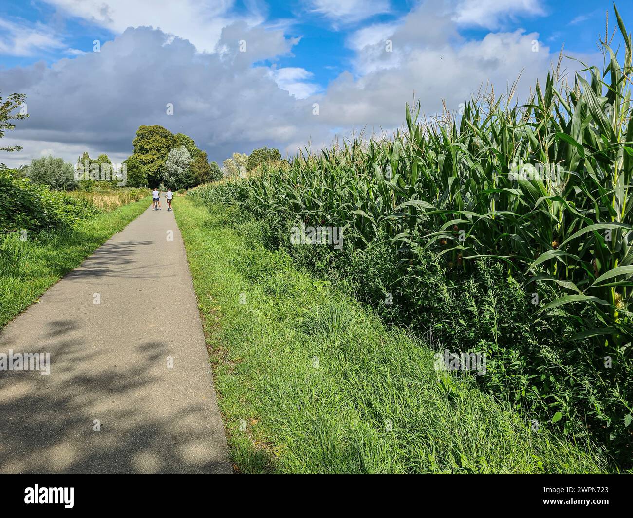 View along a path with trees in the distance hi-res stock photography ...