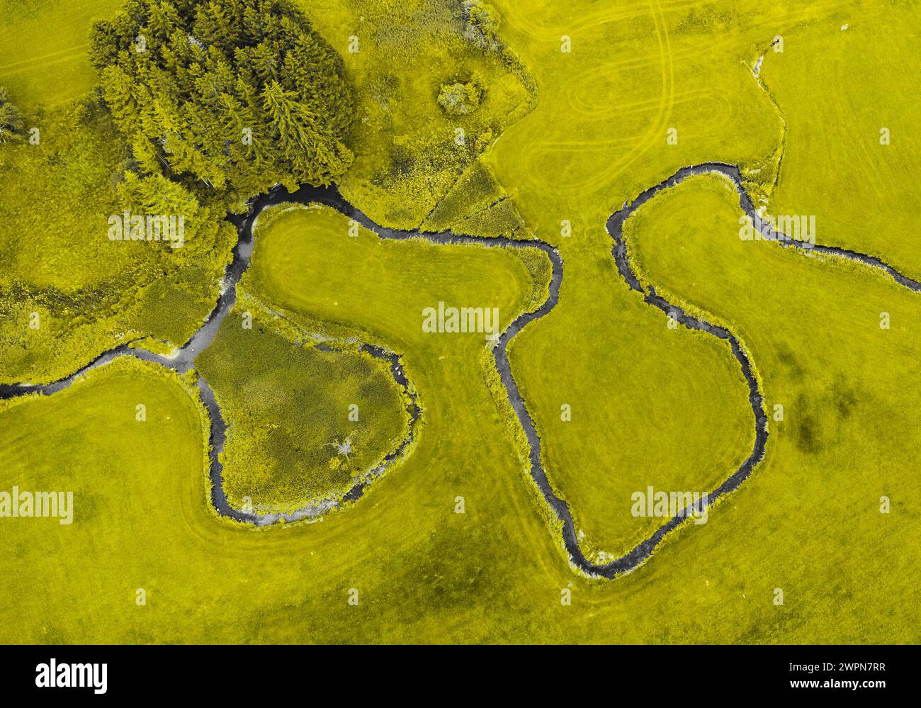 Calm stream winds through hi-res stock photography and images - Alamy