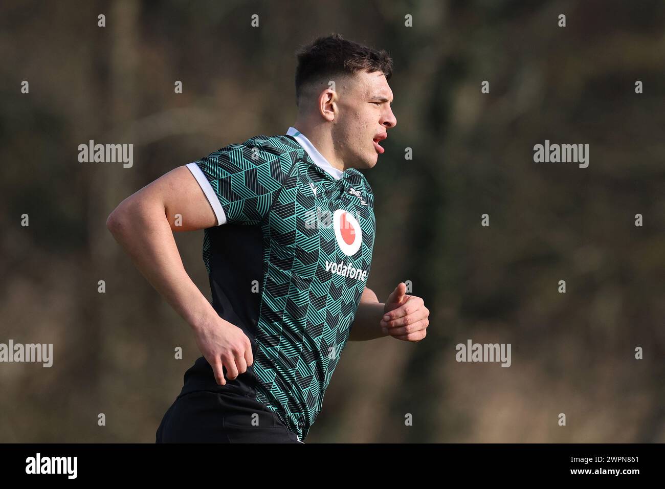 Cardiff, UK. 08th Mar, 2024. Dafydd Jenkins, the captain of Wales rugby ...