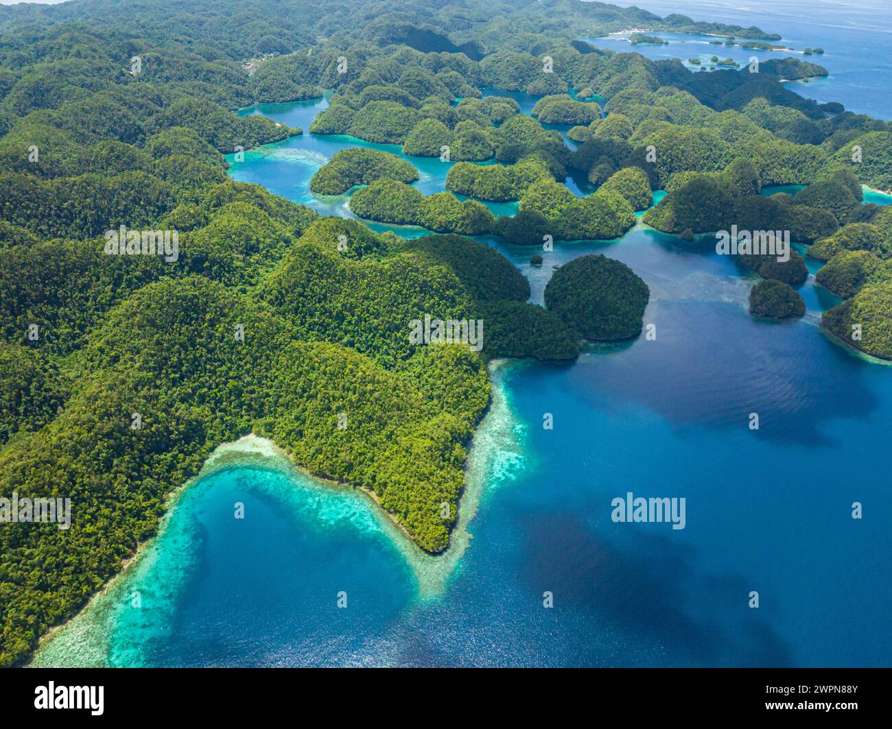 Top view rainforest landscape lagoons hi-res stock photography and ...