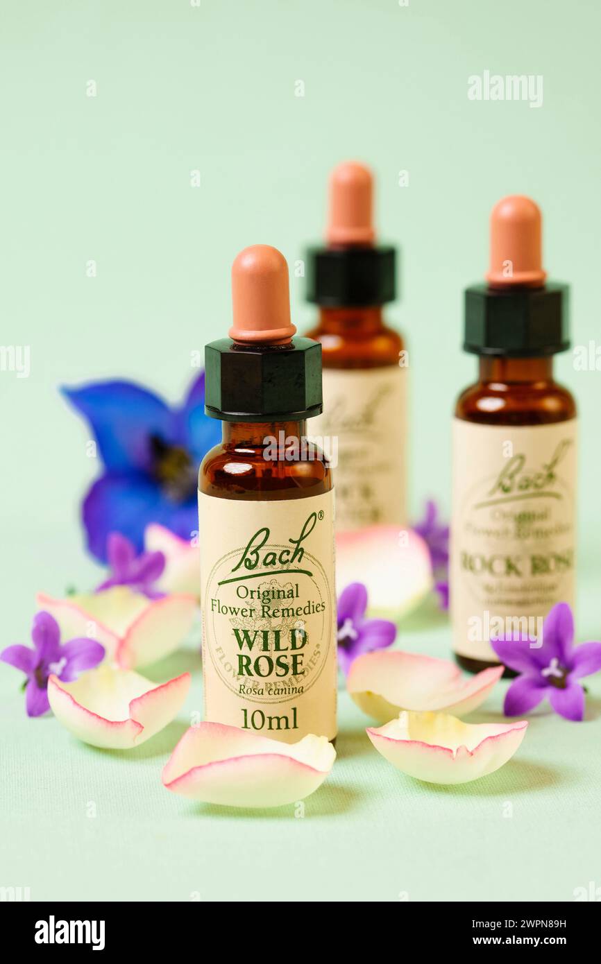 Bach flowers, medicine, healing method, alternative healing method ...