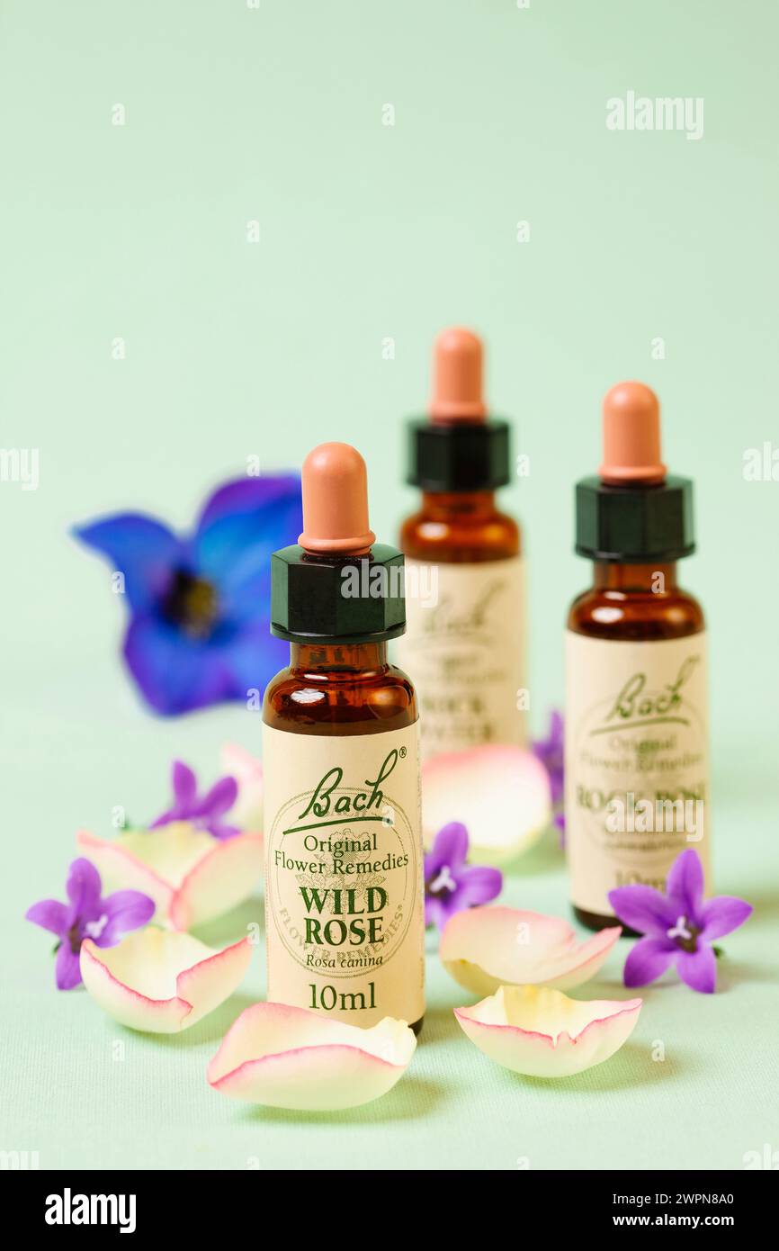 Bach flowers, medicine, healing method, alternative healing method ...