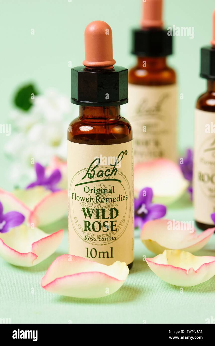 Bach flowers, medicine, healing method, alternative healing method ...