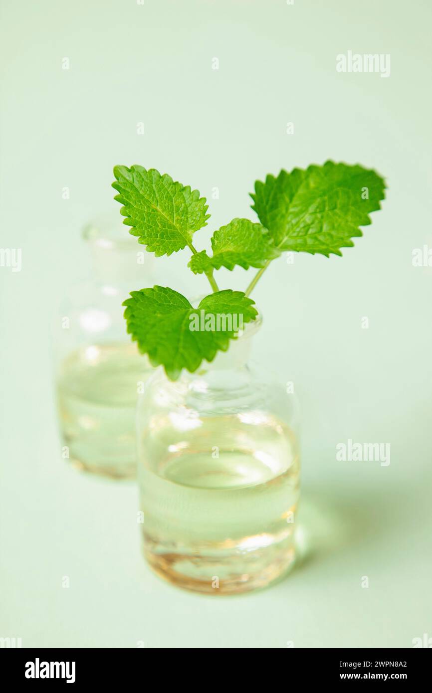 Healing leaf hi-res stock photography and images - Alamy