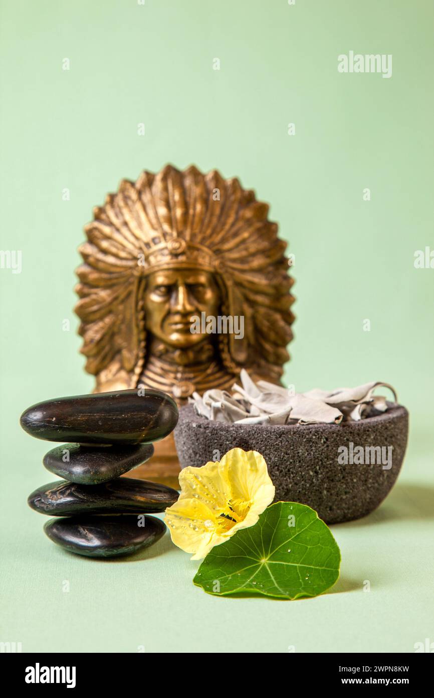 Indian medicine, medicine, healing method, alternative healing method ...