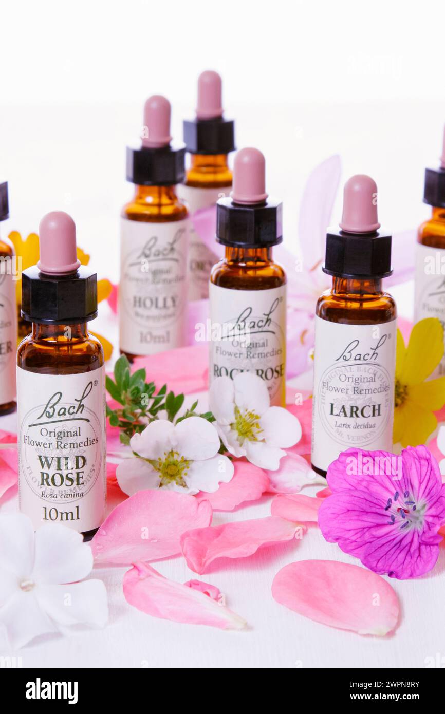 Bach flowers, medicine, healing method, alternative healing method ...