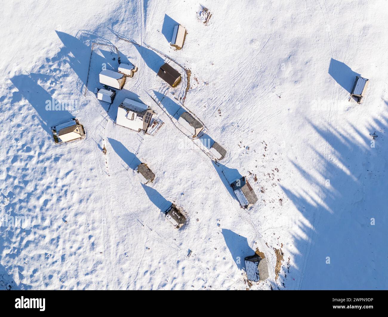 Pokljuka is an alpine plateau in north-western Slovenia. It is located ...