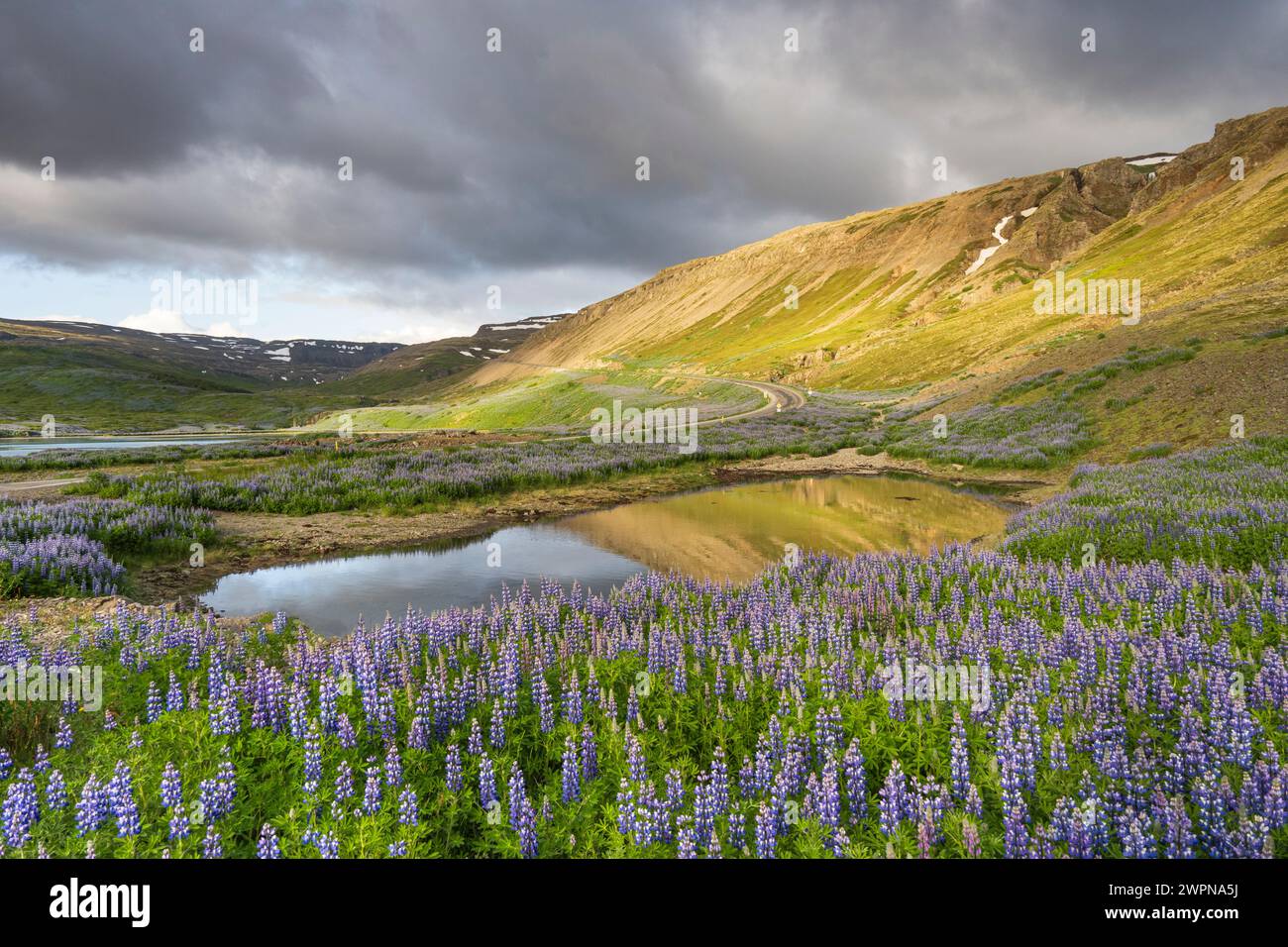 Midnight sun iceland highland hi-res stock photography and images - Alamy