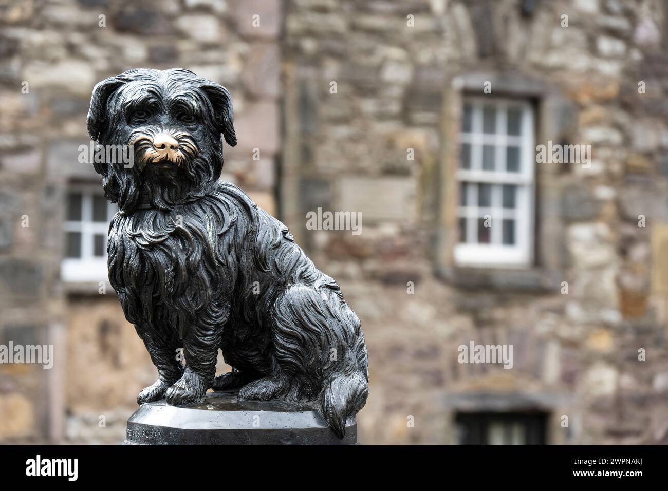 Statue dog hi-res stock photography and images - Alamy