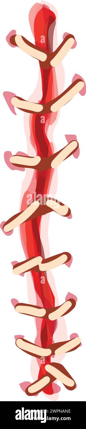 Suture icon cartoon vector. Injury skin cut. Doctor surgical tool Stock ...