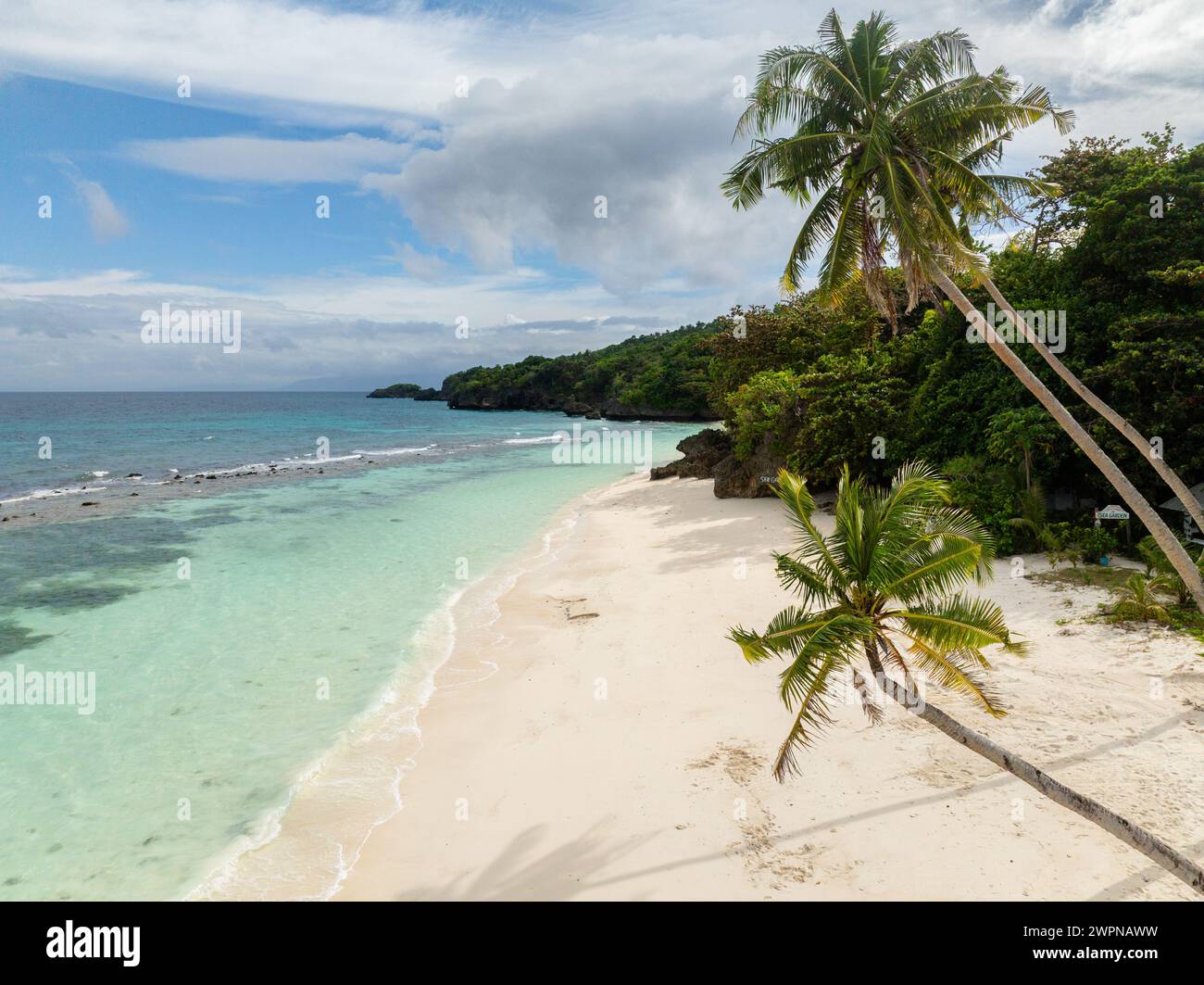 Sea Garden in Carabao Island with sandy beach and coconut trees ...