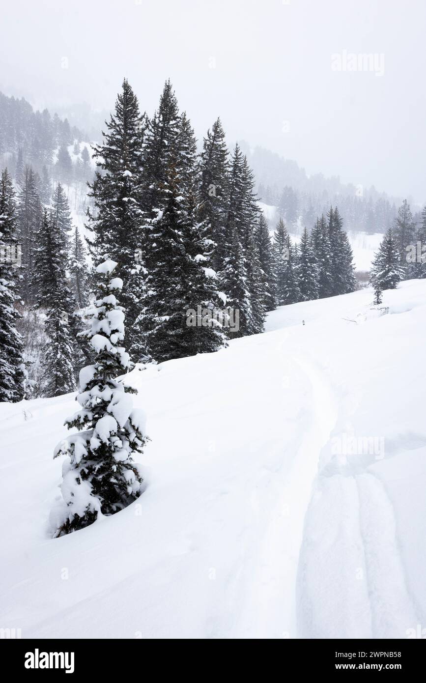 The Hagen Trail extending deep into Cache Creek Canyon during the ...