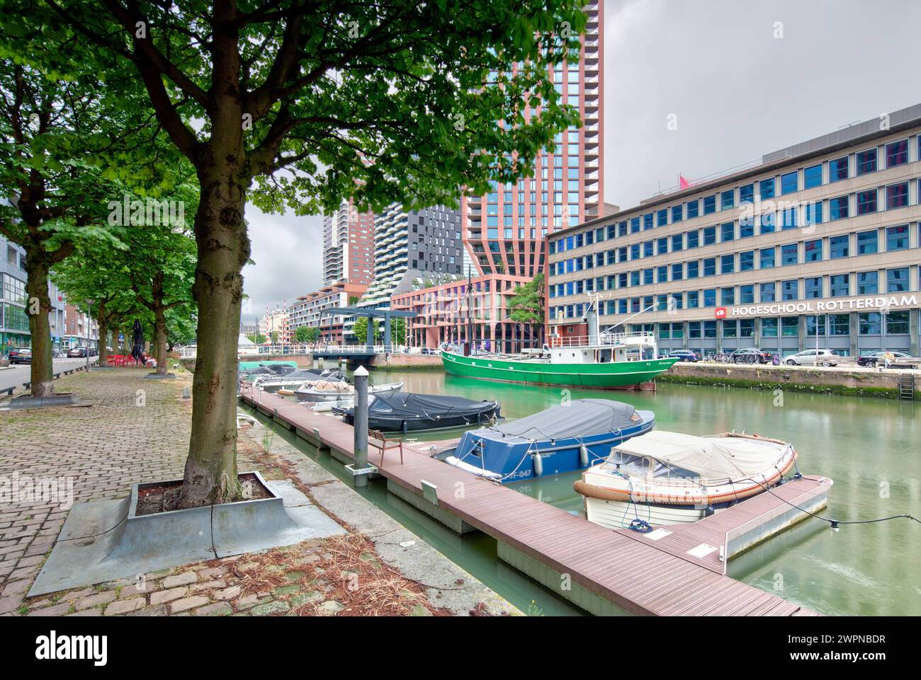 Hogeschool, Wijnhaven district, modern urban architecture, skyscraper ...