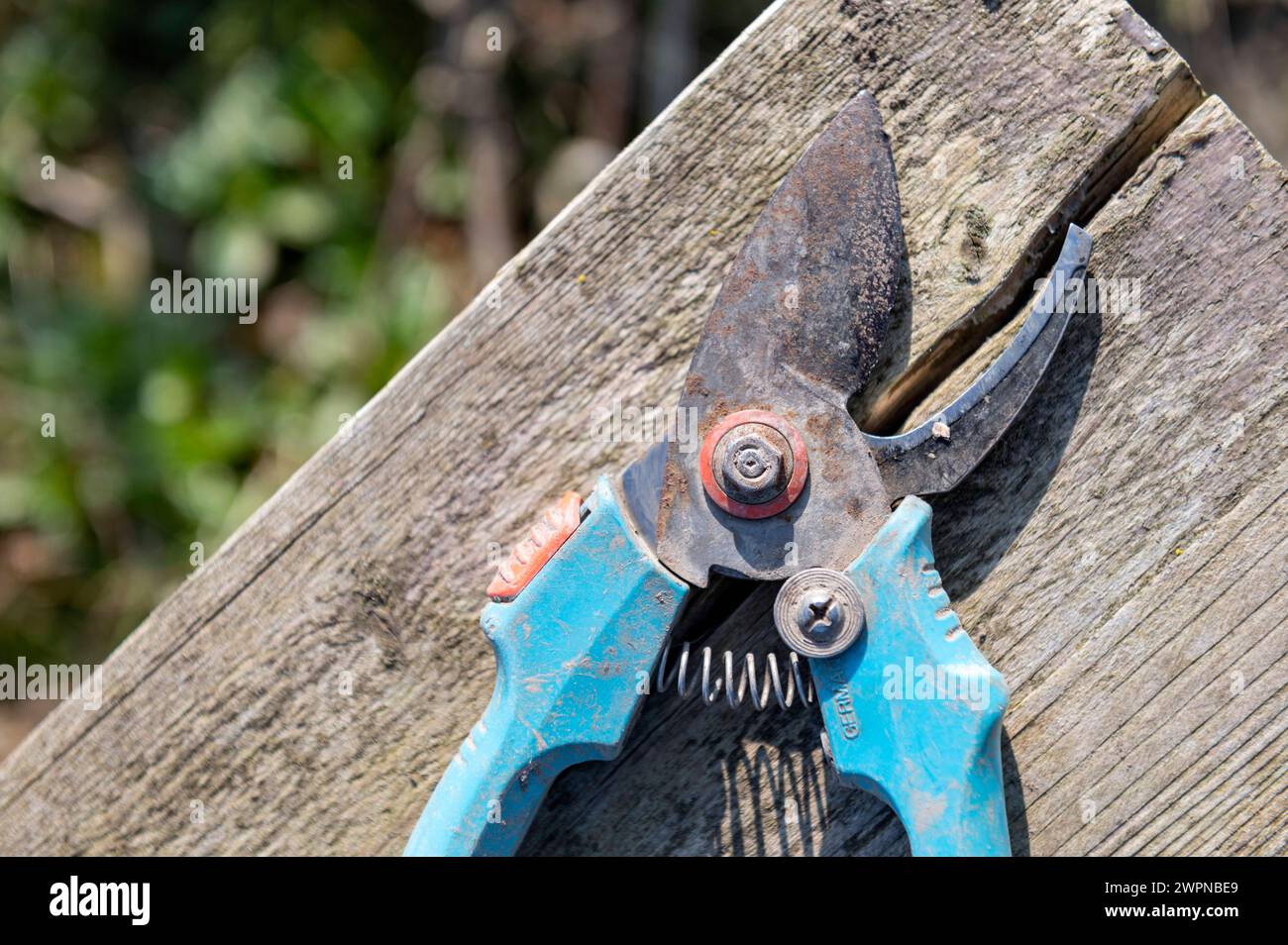 Amsterdam The Netherlands 8th March 2024 Gardening. Used Gardena brand ...