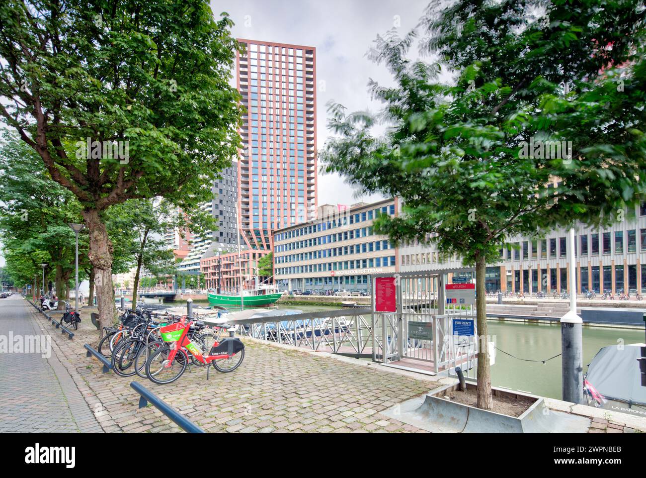 Wijnhaven district, modern urban architecture, high-rise building ...