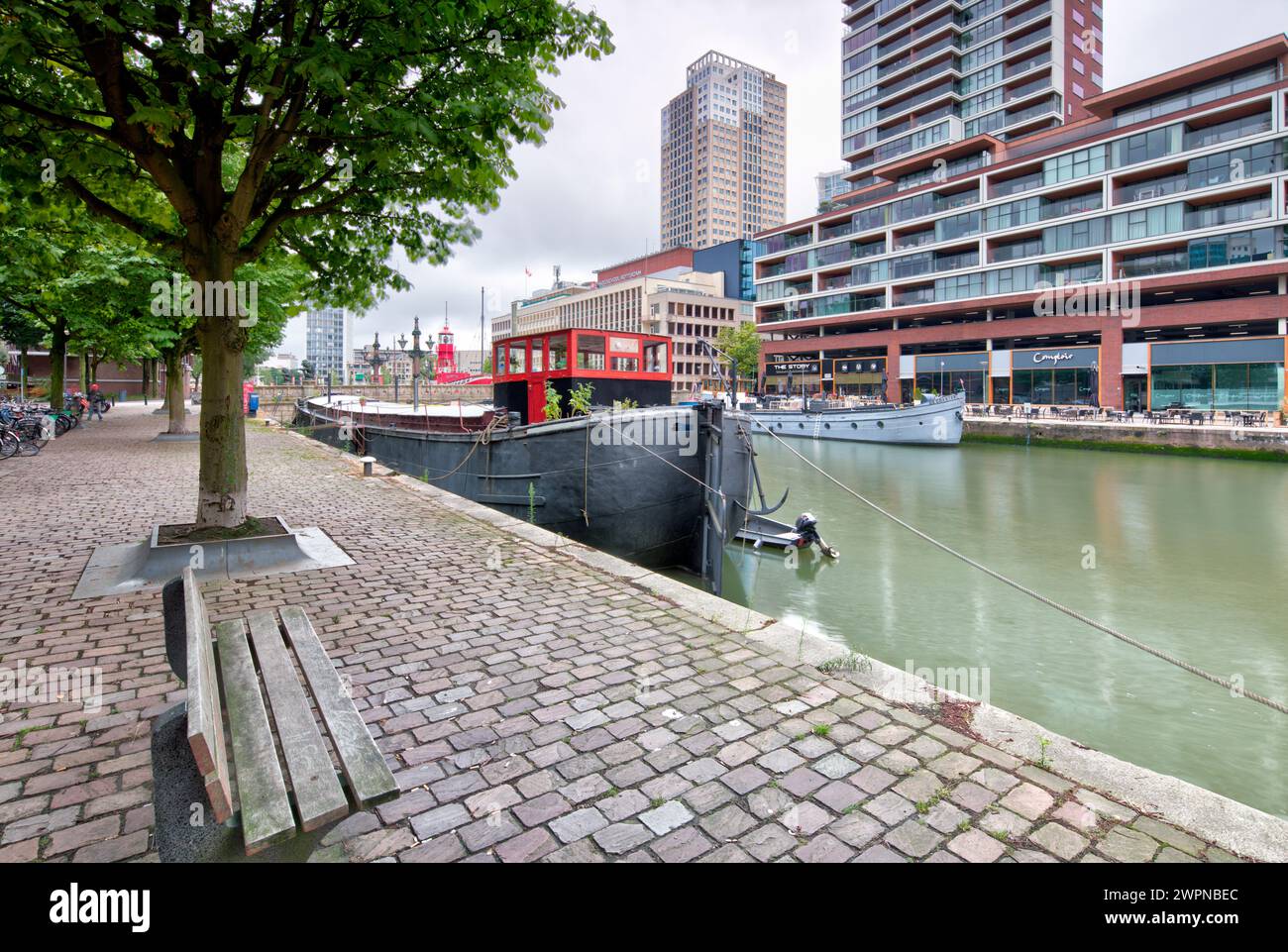 Wijnhaven district, boats, ships, canal, architecture, city view ...